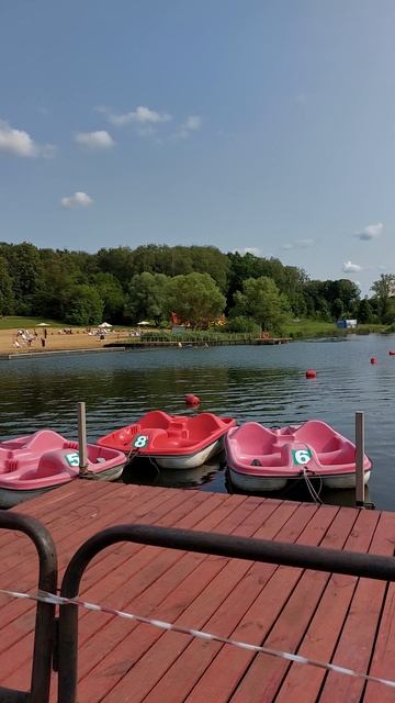 Тула. Центральный парк. Средний пруд. Лето 2025 года.