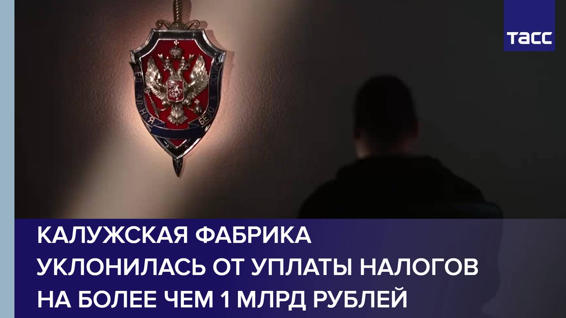 Калужская фабрика уклонилась от уплаты налогов на более чем 1 млрд рублей