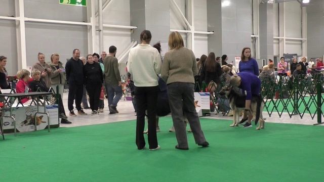 Класс юниоров. Бест Вео Лайн Нирвана