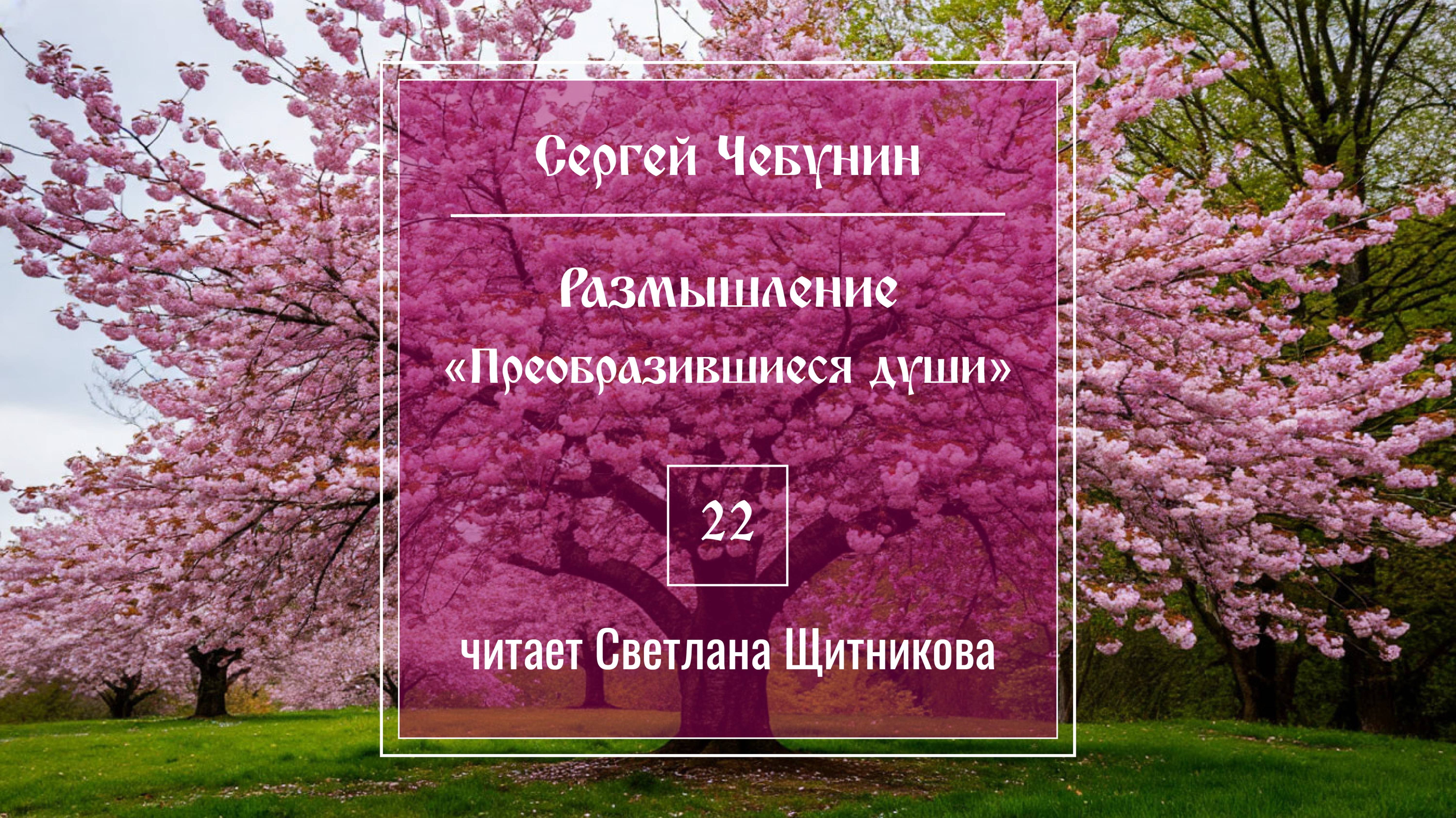 Размышление 22 (автор Сергей Чебунин, читает Светлана Щитникова)