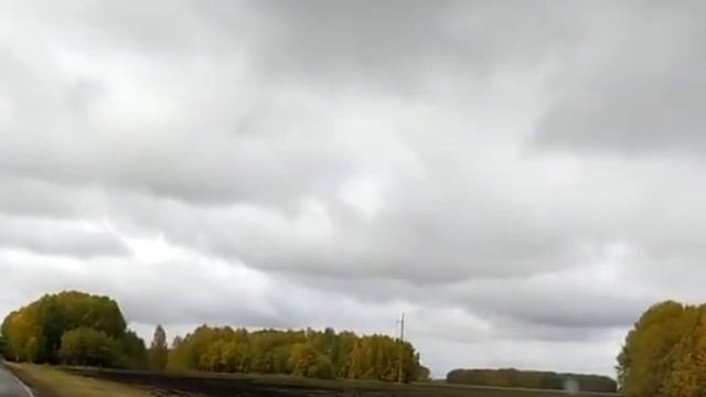 Дорога в Осень...🍁🍁🍁