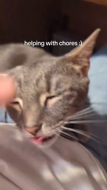 Командная работа