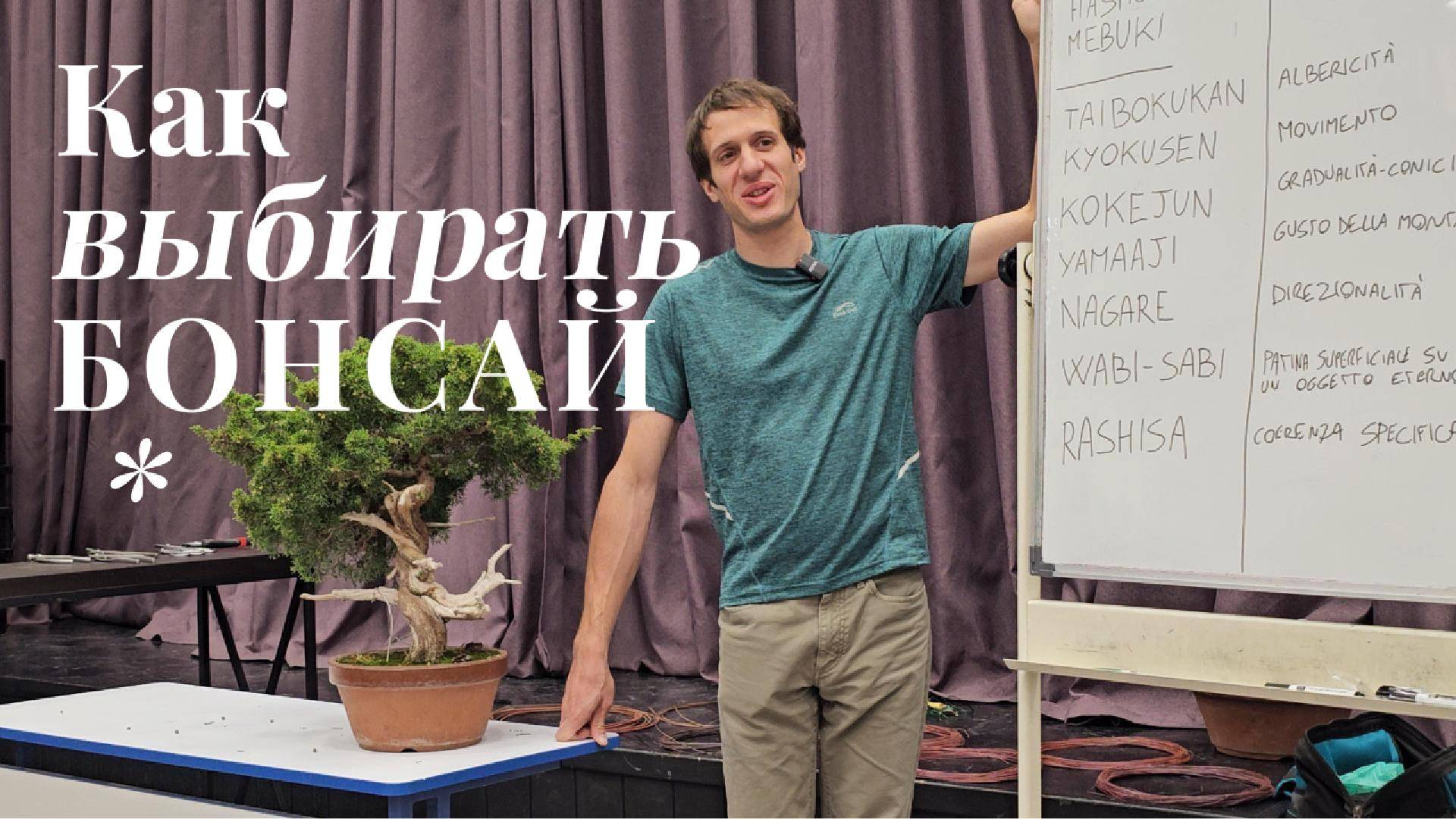 Лекция Алессандро Бонардо / Как выбирать бонсай