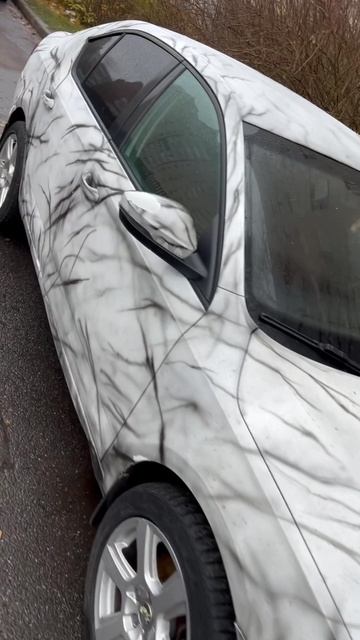 Шкода в странном раскрасе..