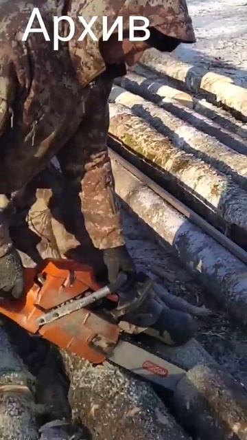 9 ноября 2022 г.