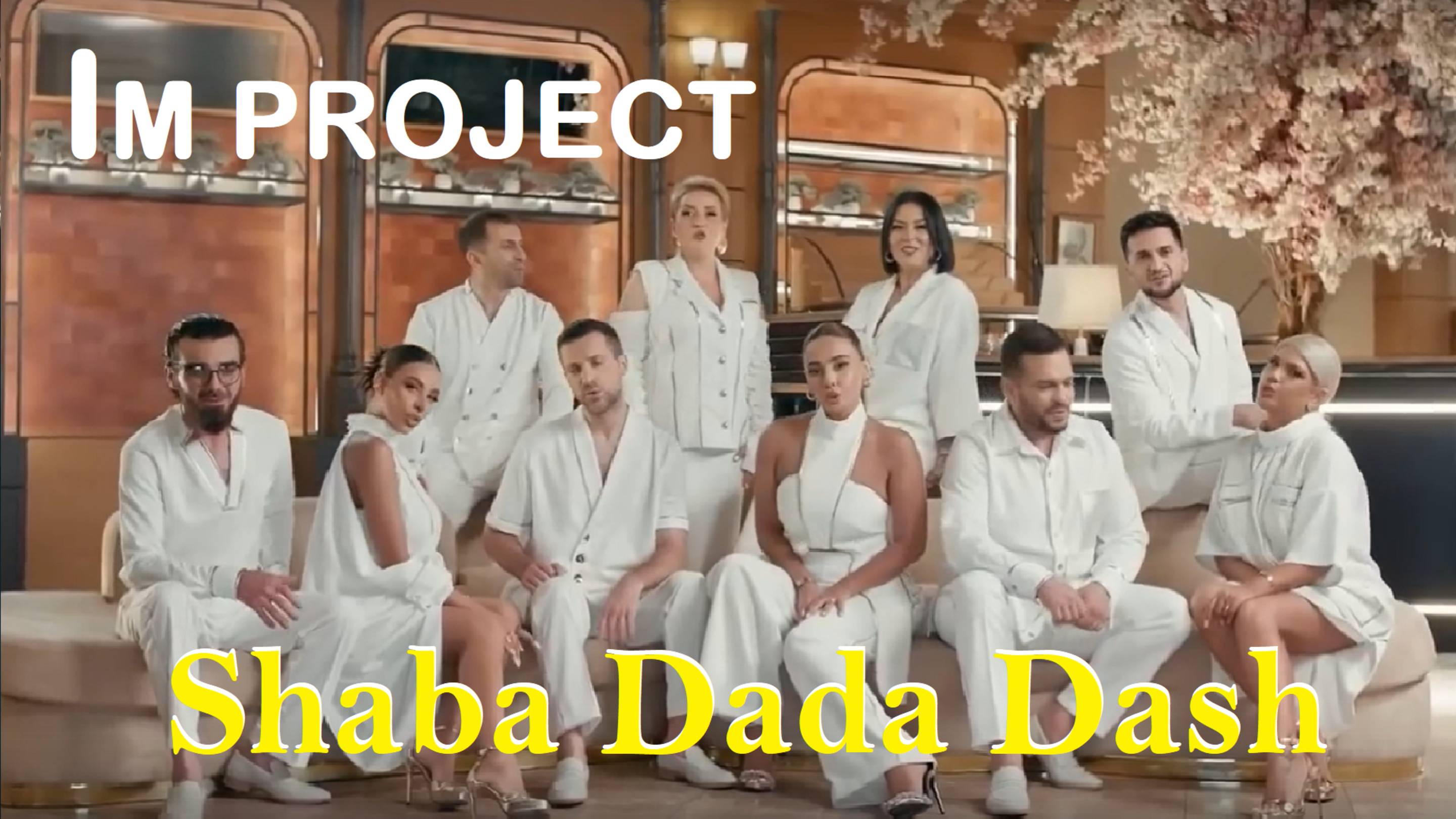 IM project - Shaba daba dash