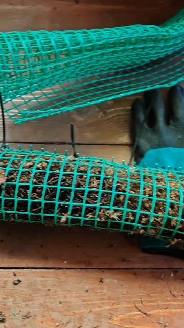 Тотем для комнатных растений за 5 минут.