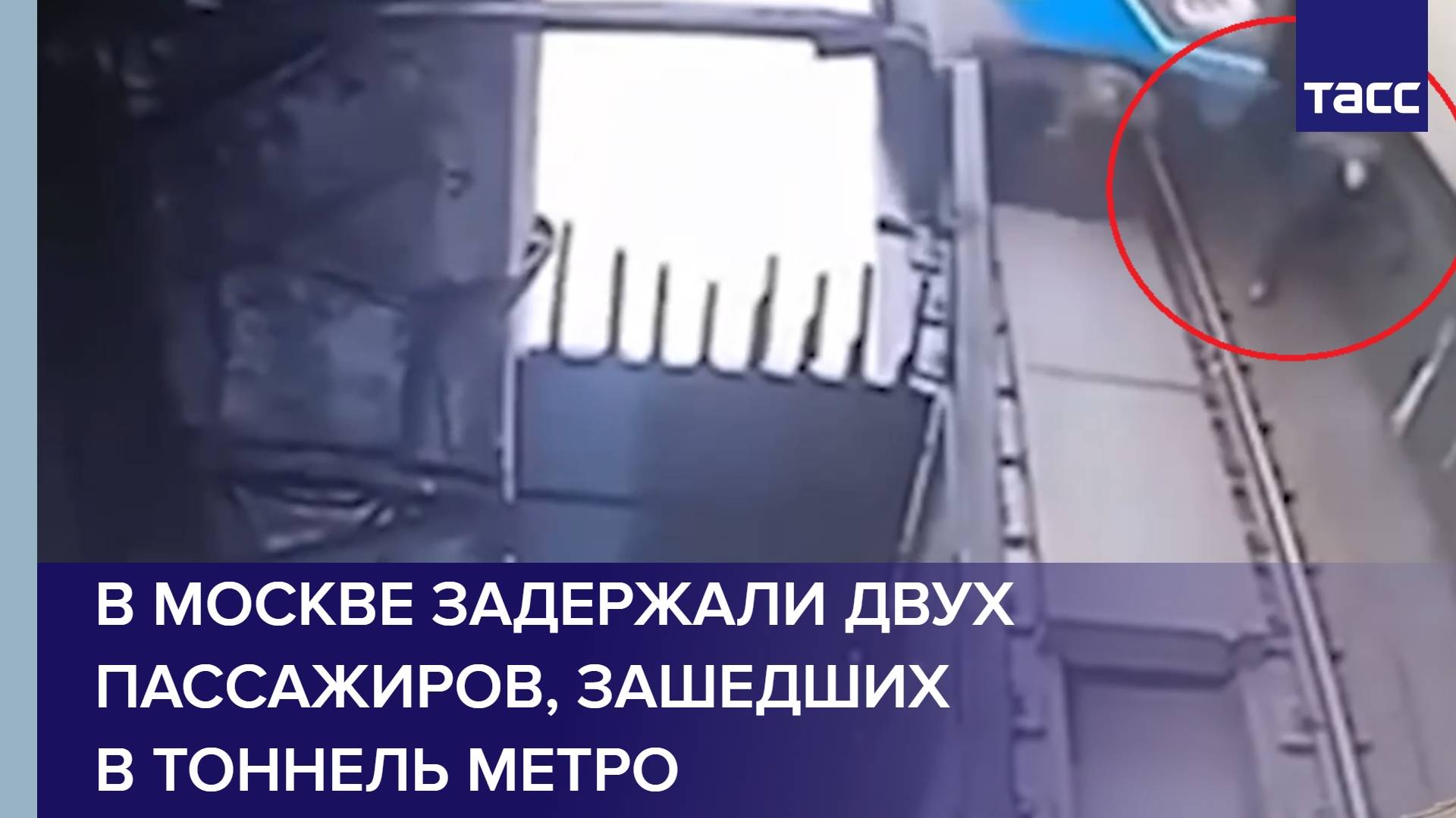 В Москве задержали двух пассажиров, зашедших в тоннель метро