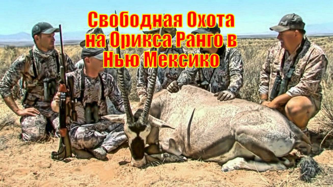 Свободная Охота на Орикса Ранго в Нью Мексико