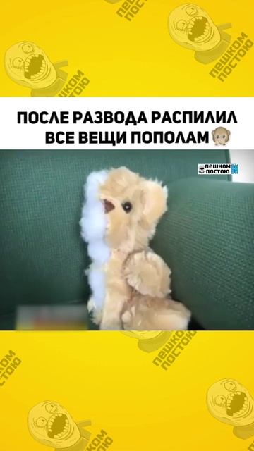 Поделил вещи пополам