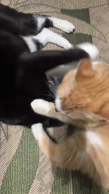 Так и живут