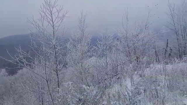 1000393382.mp4 - смотреть видео онлайн от «Лапыч Косолапыч» в хорошем ...