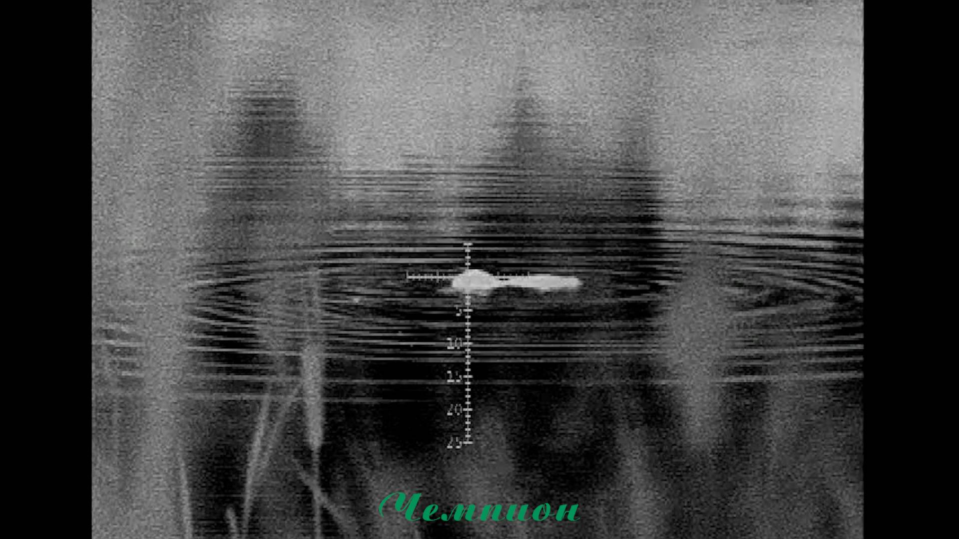 Охота на бобра  #42 \ Восемь штук