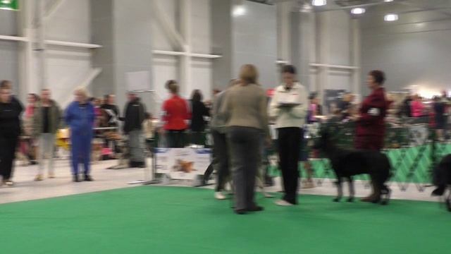 Жеймо из Невского Десанта