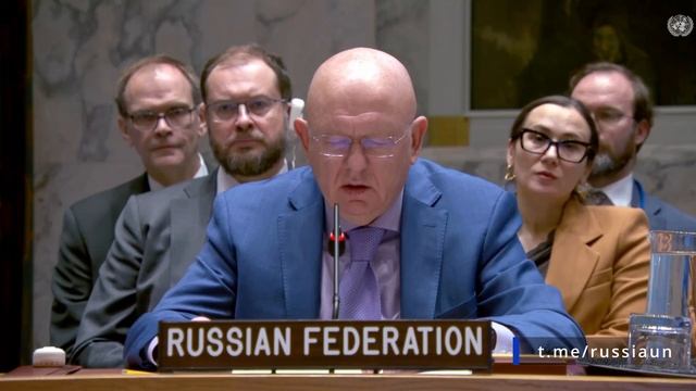 В.А.Небензя на Совете Безопасности ООН по теме «Климат и безопасность – экологические последствия