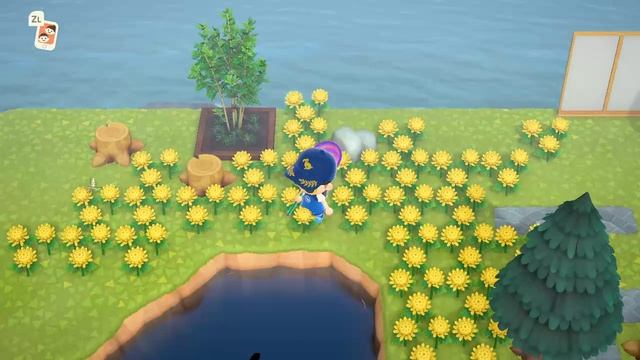 Рисовая кобылка