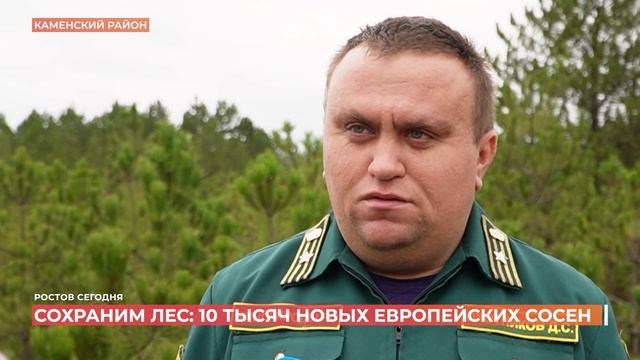 Ростов сегодня: вечерний выпуск. 6 ноября 2025