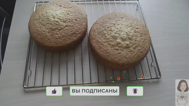 Коржи для торта / Заготовка для торта