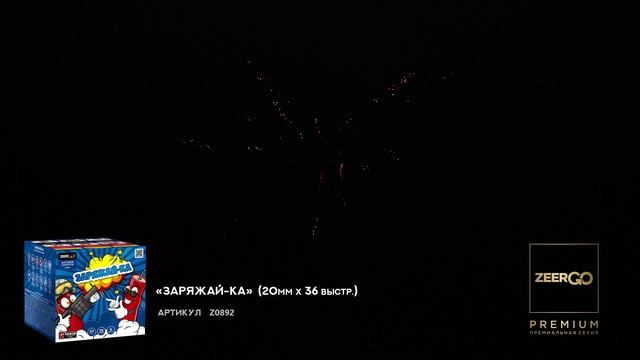 Заряжай-ка Z0892