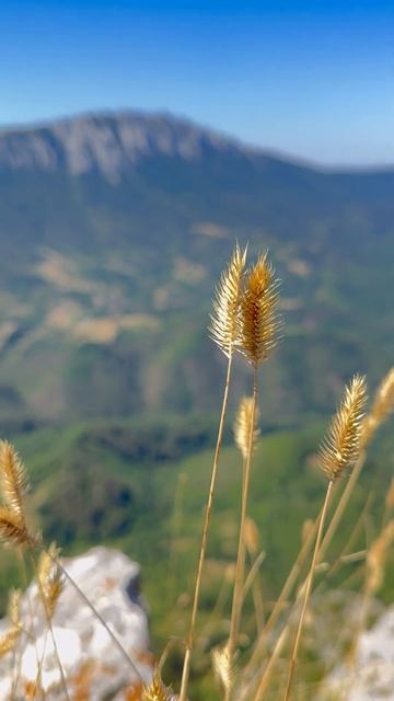 Дивна Горица и Подравка (Сербия)  #hiking #поход #путешествия #путешествияпоевропе #лучшиеместа