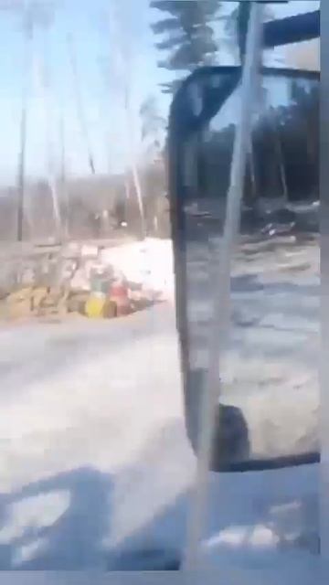 #shorts #АрхиВСтарателЯ