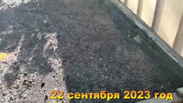 7 соток. Хроника  Сентябрь 2023 год