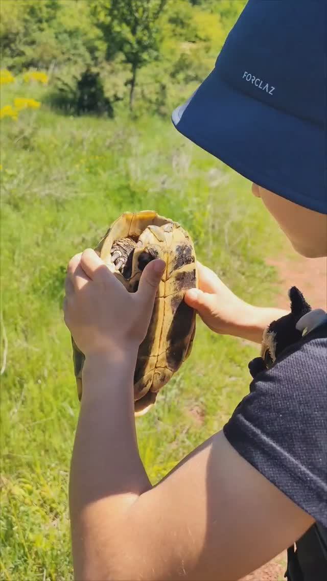 Прогулка в лесу в Сербии. #природа #релакс