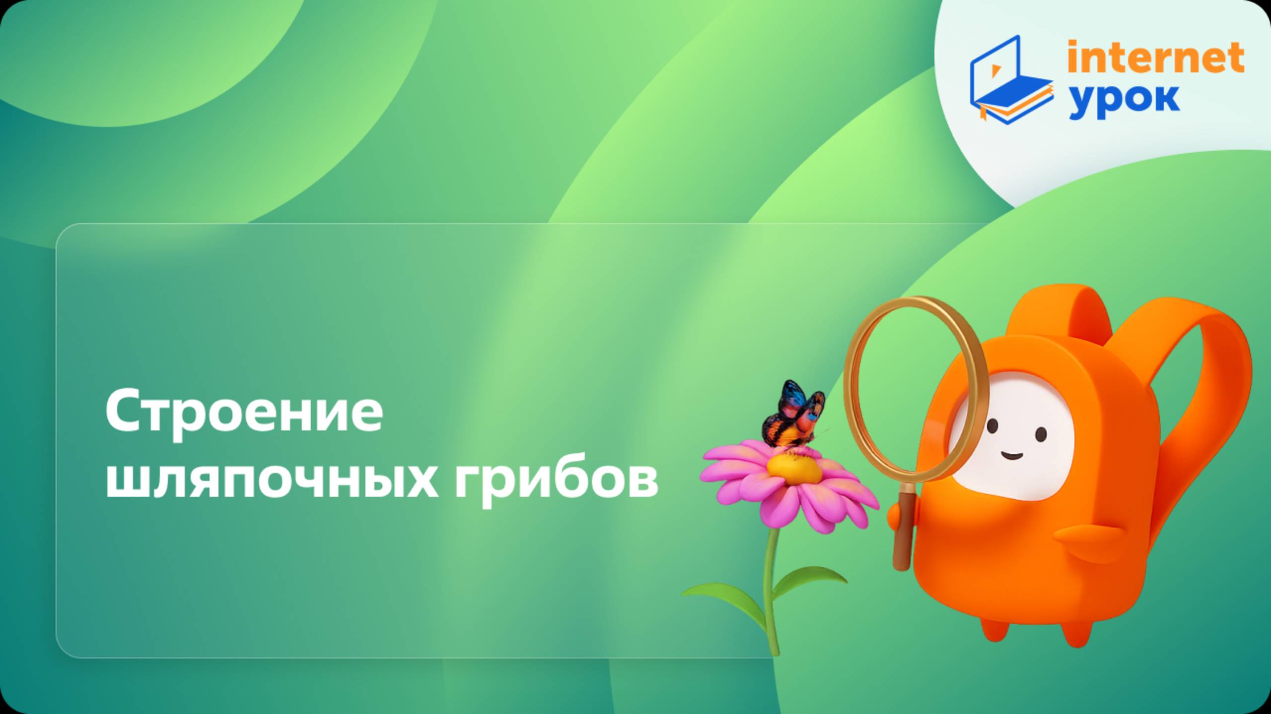 Окружающий мир 1 класс. Строение шляпочных грибов