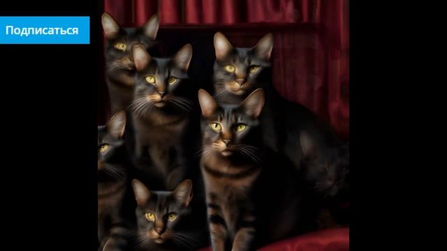 сорок кошек｜Весёлая песня с Юмором и Клипом｜