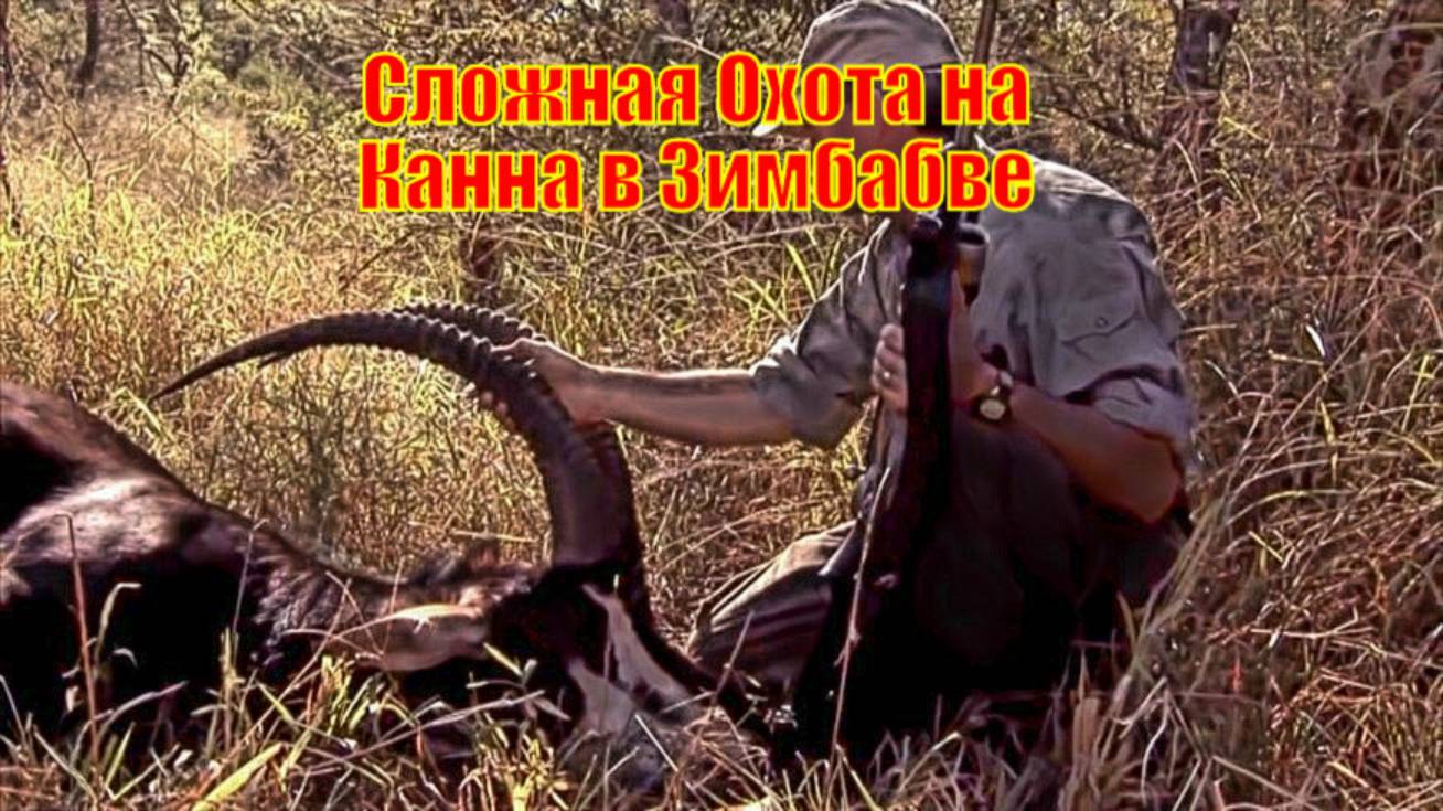 Сложная Охота на Канна в Зимбабве