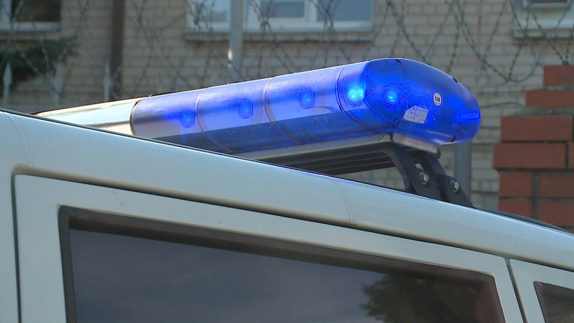 10 ноября в России отметят День сотрудника органов внутренних дел