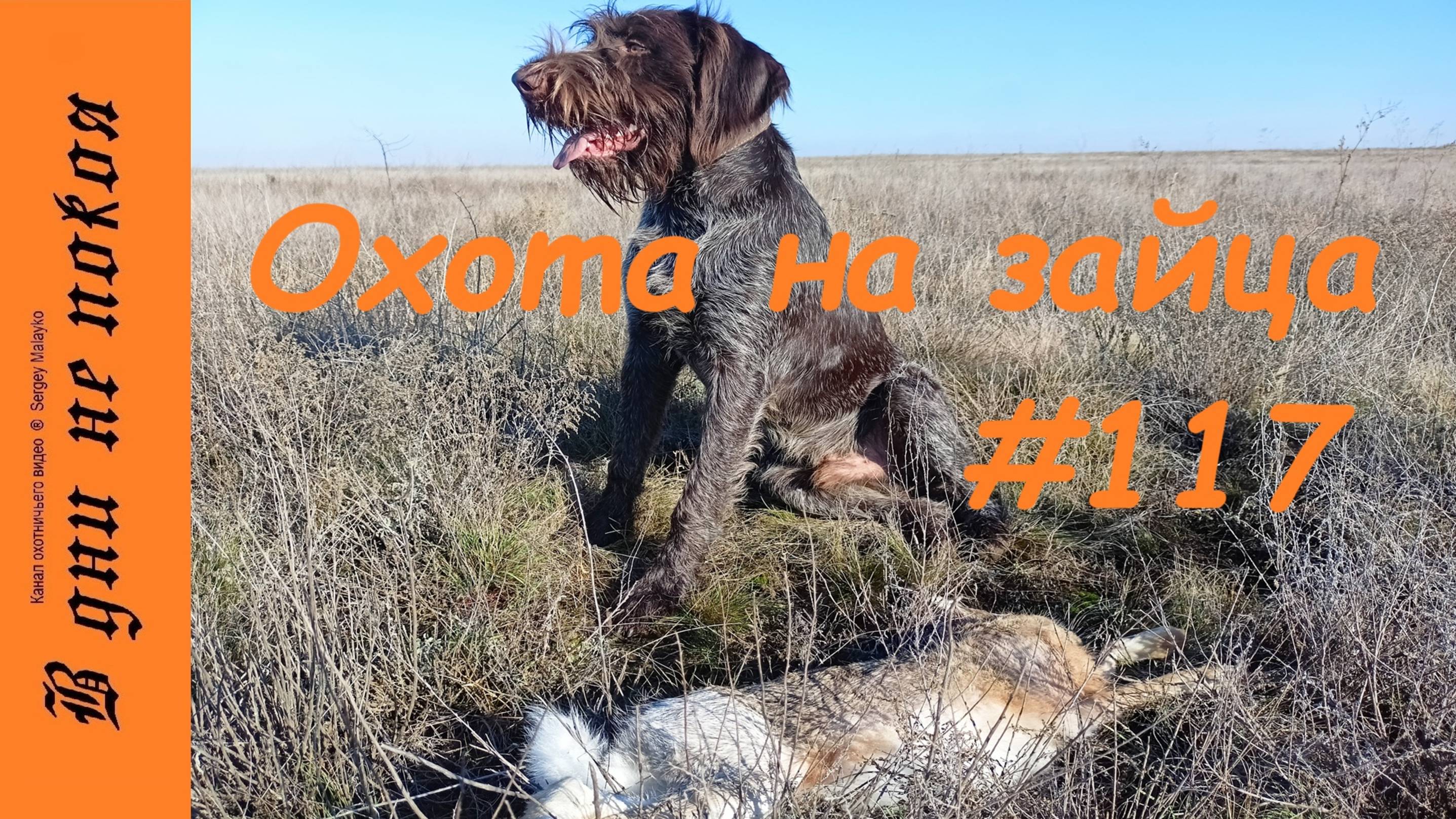 Охота на зайца. Выпуск № 117 18+