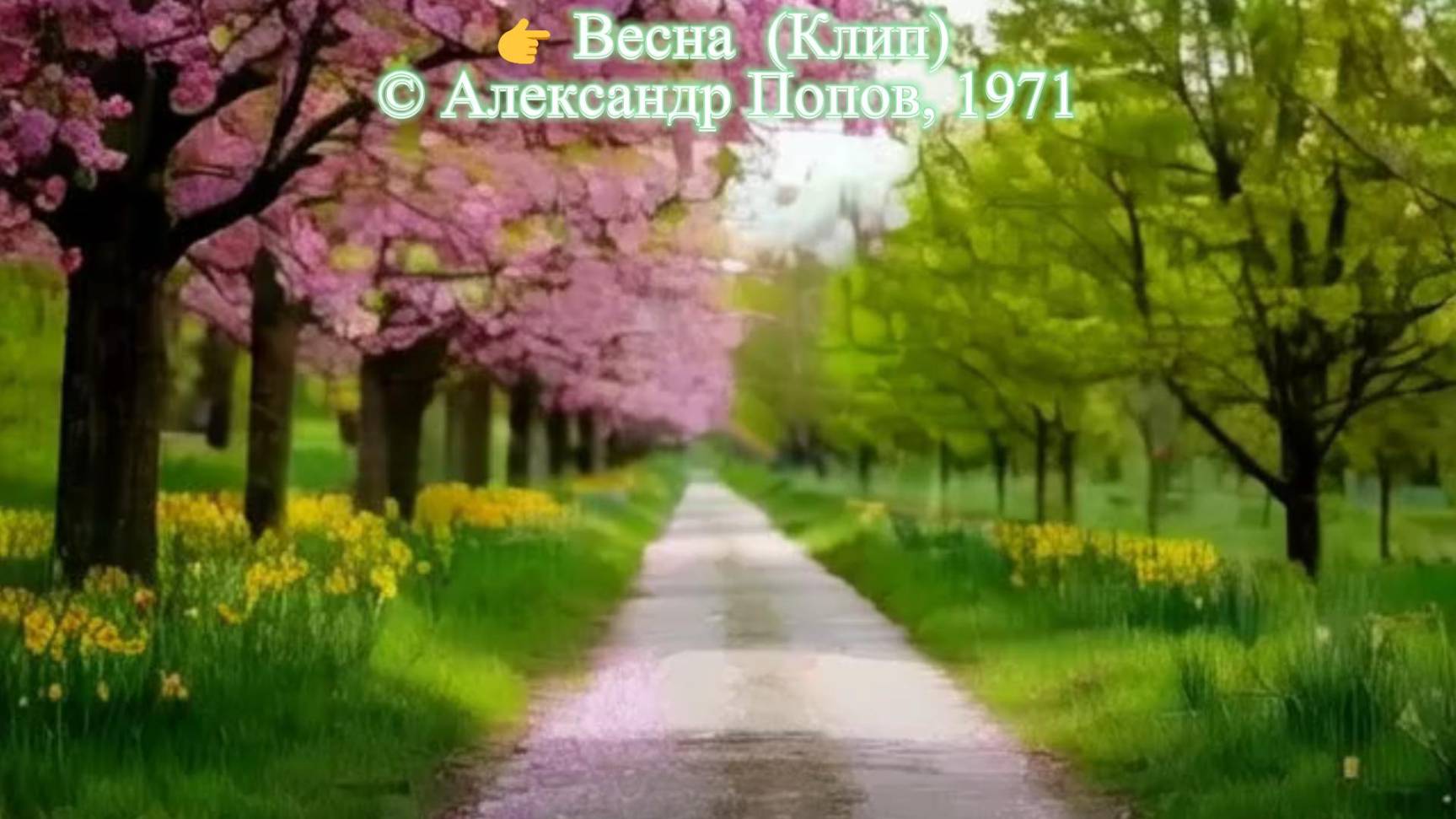 Весна  (Клип)