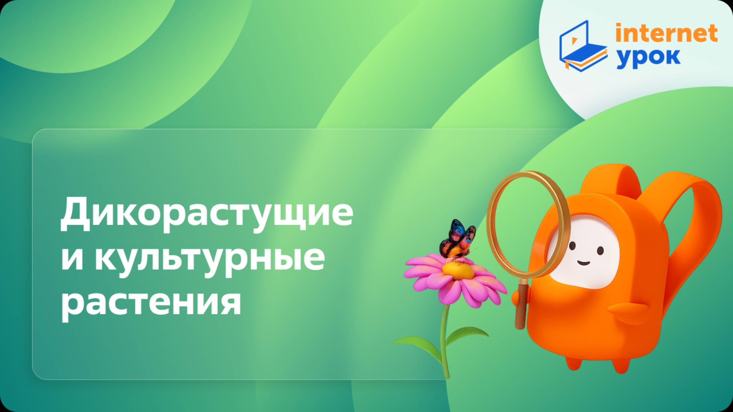 Окружающий мир 1 класс. Дикорастущие и культурные растения