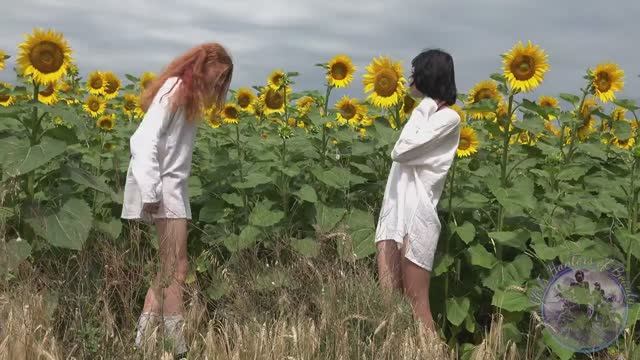 Подсолнухи (Видеосессия)