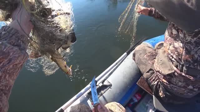 ВСЯ РЕКА ОПУТАНА СЕТЯМИ! ПРИШЛОСЬ СПАСАТЬ РЫБУ! Рыбалка в ноябре