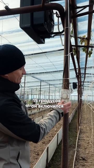 Расскажем про отопление одного из наших проектов - теплицу! #отопление