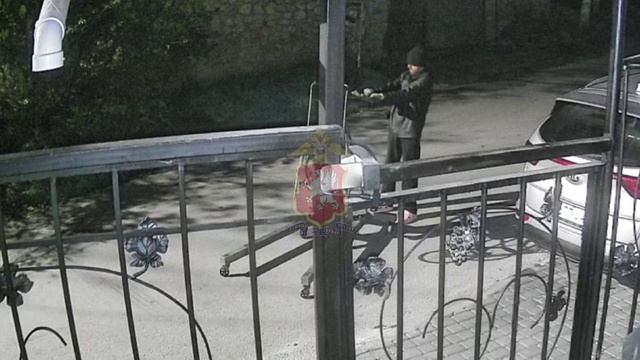 Кража автомобильного подъемного крана в Севастополе