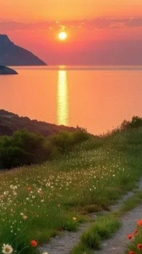 доброго утра