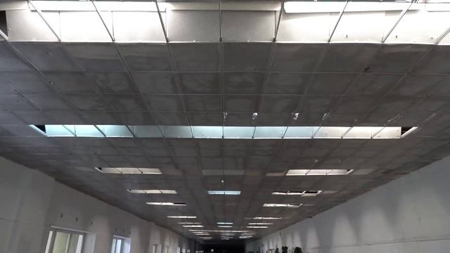 лучник Денис Тен от трагического перелома шеи до серебра Чемпионата мира / Сильные люди