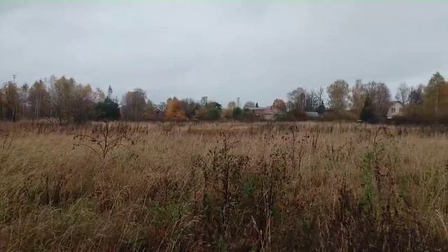 д. Настасьино 50:18:0070309:804