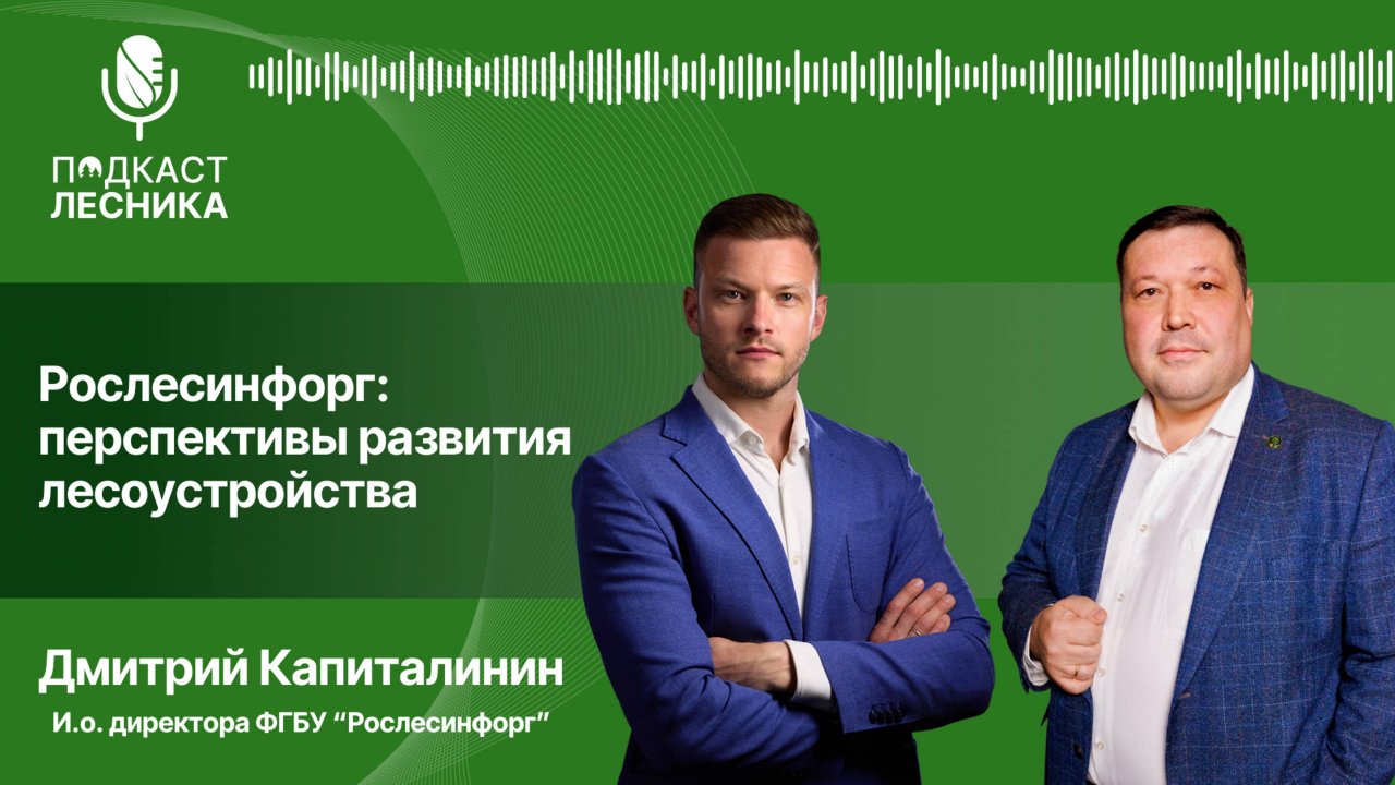 Дмитрий Капиталинин. Рослесинфорг: перспективы развития лесоустройства