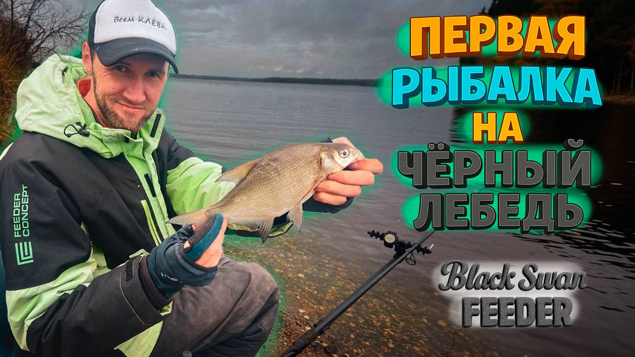 Осень. Волга. Лещи. Думали мы. м. Поспелиха. Тестируем фидера Fishmaster Черный Лебедь 3.9 и 4.2
