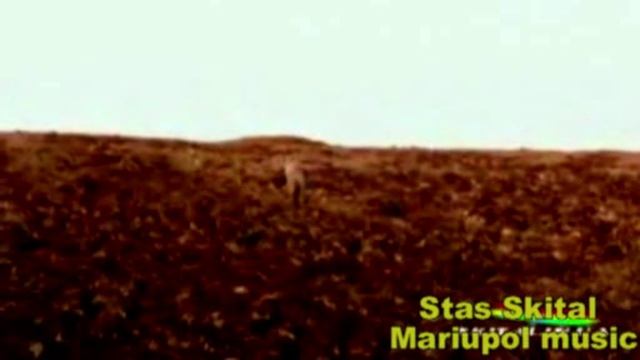 Волки  Стас Скитал(Мар)st Werema54