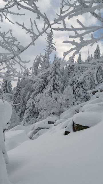 Из воспоминаний Южный Урал январь 2022