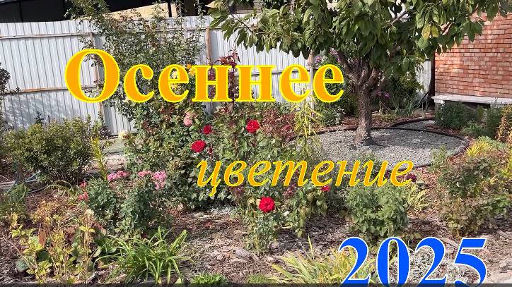 Осеннее цветение