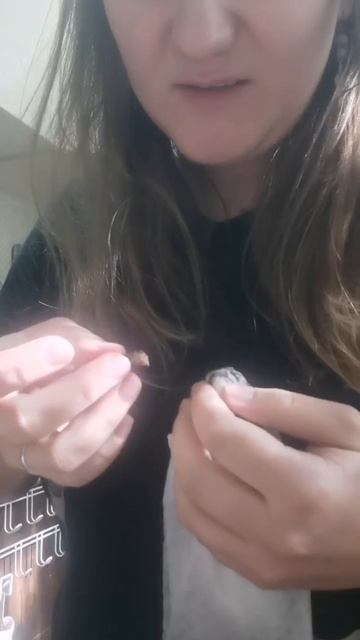 Кормление стрижа