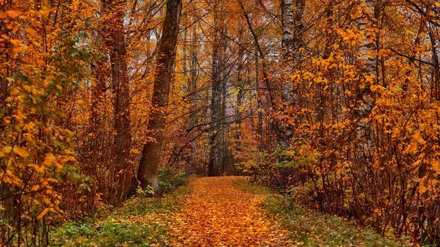 Спокойная музыка для души. Успокаивающая музыка для сна. Релакс музыка. Ecveezer - My Heart Is Warm