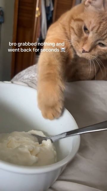 Вкусное ничего