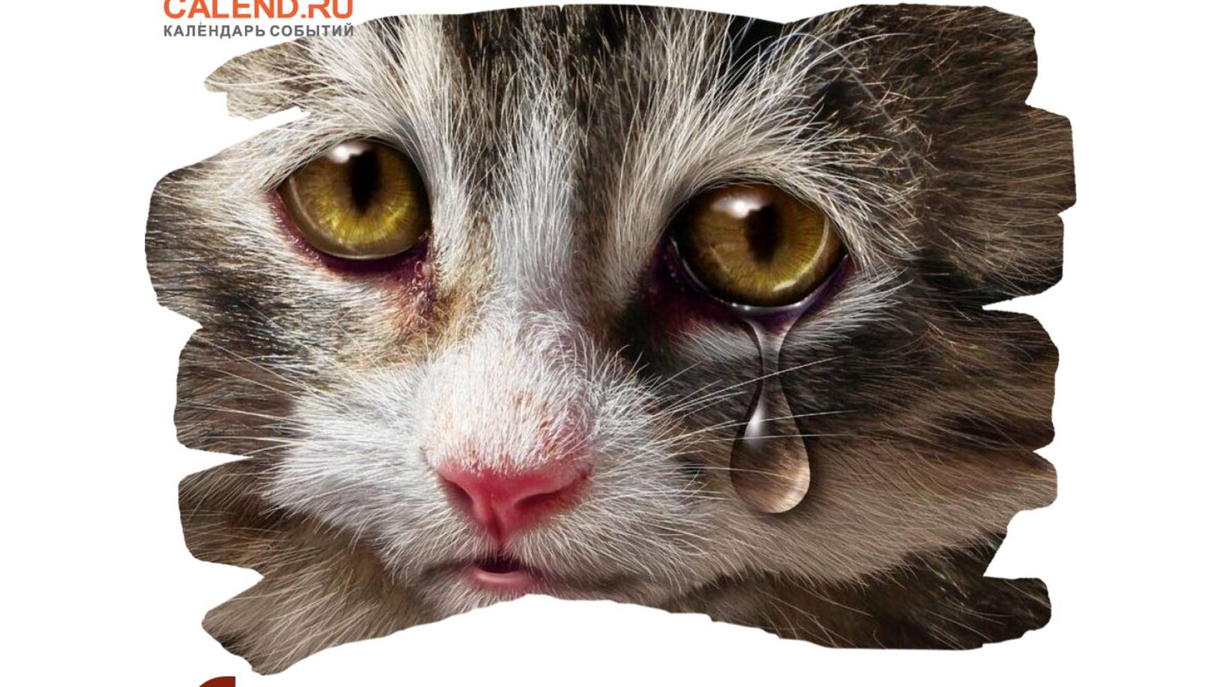 Международный день памяти животных, погибших от рук человека.